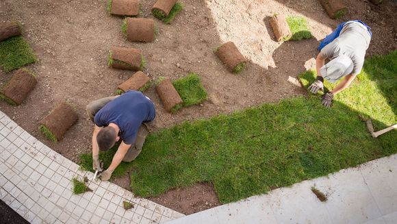 Landscapers in Forest Gate, London | Garden Masters
